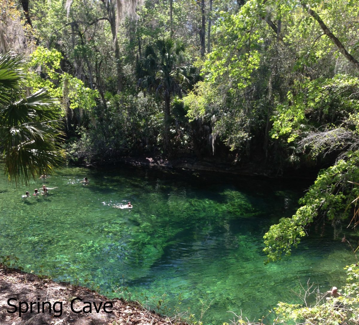 Blue Springs State Park - Travel With The Magic | Travel Agent | Disney ...