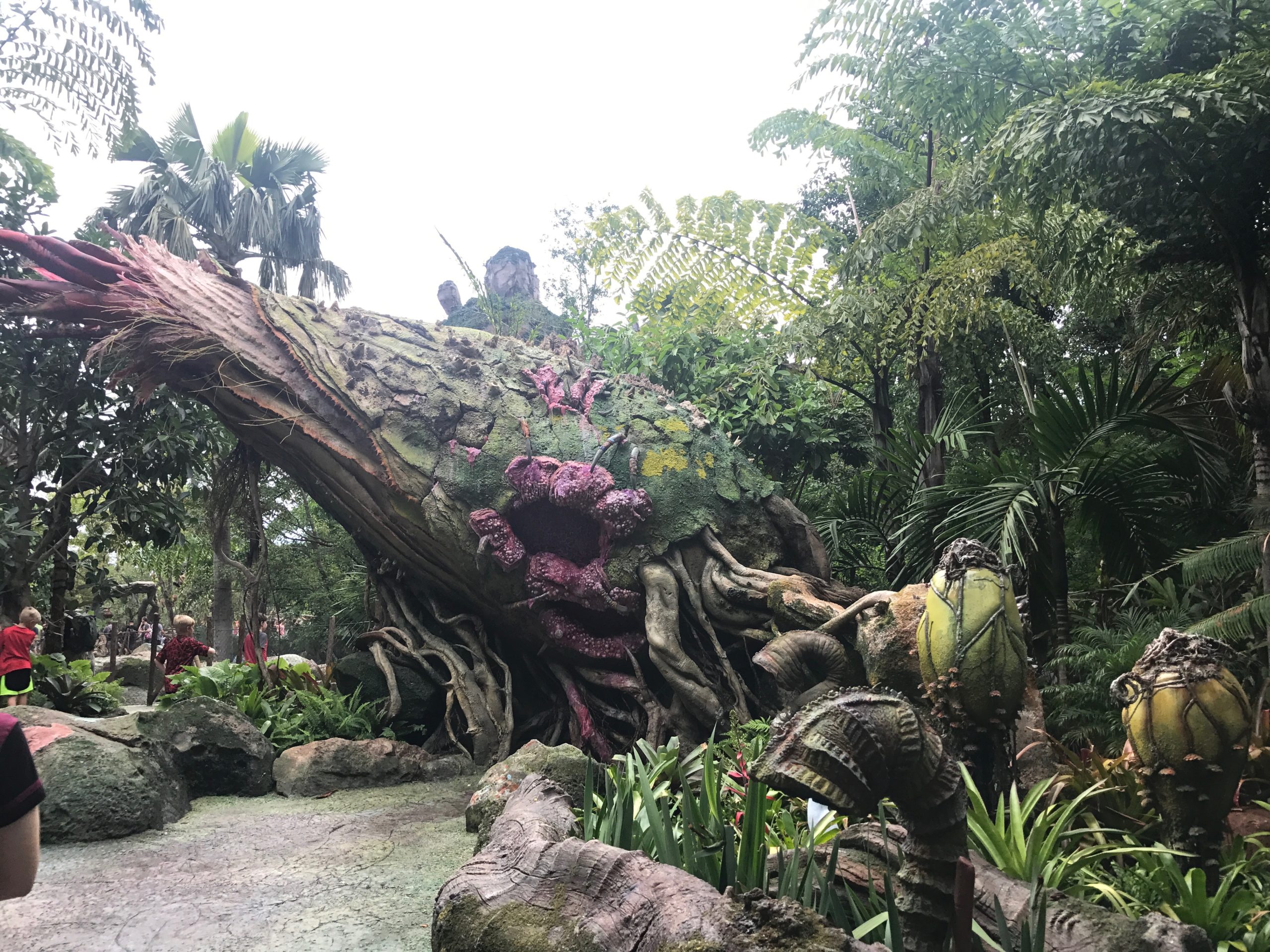 Don’t Miss These 10 Things at Pandora! - Travel With The Magic | Travel ...