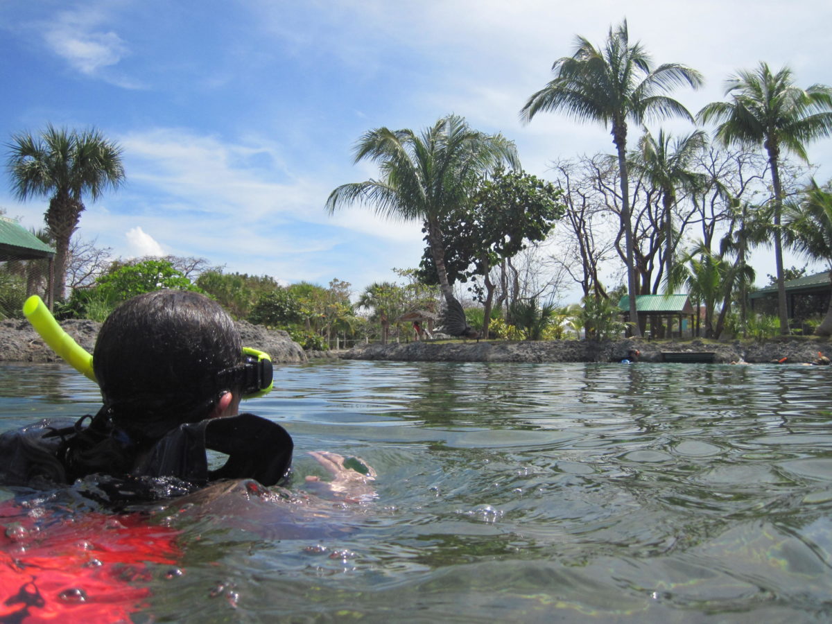 Grand Cayman Turtle Centre - Travel With The Magic | Travel Agent ...