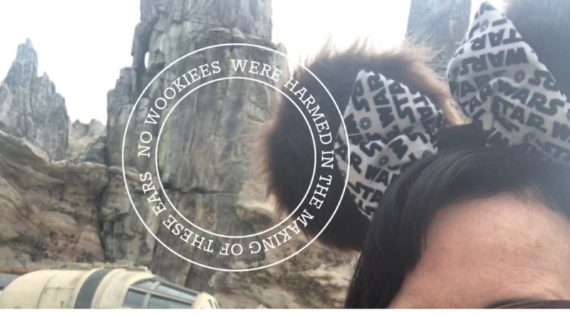 The Every Day Battuan: How to Live Like a Local in Batuu - Travel With ...