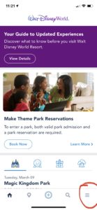 Creating your Disney experience - Travel With The Magic | Travel Agent ...