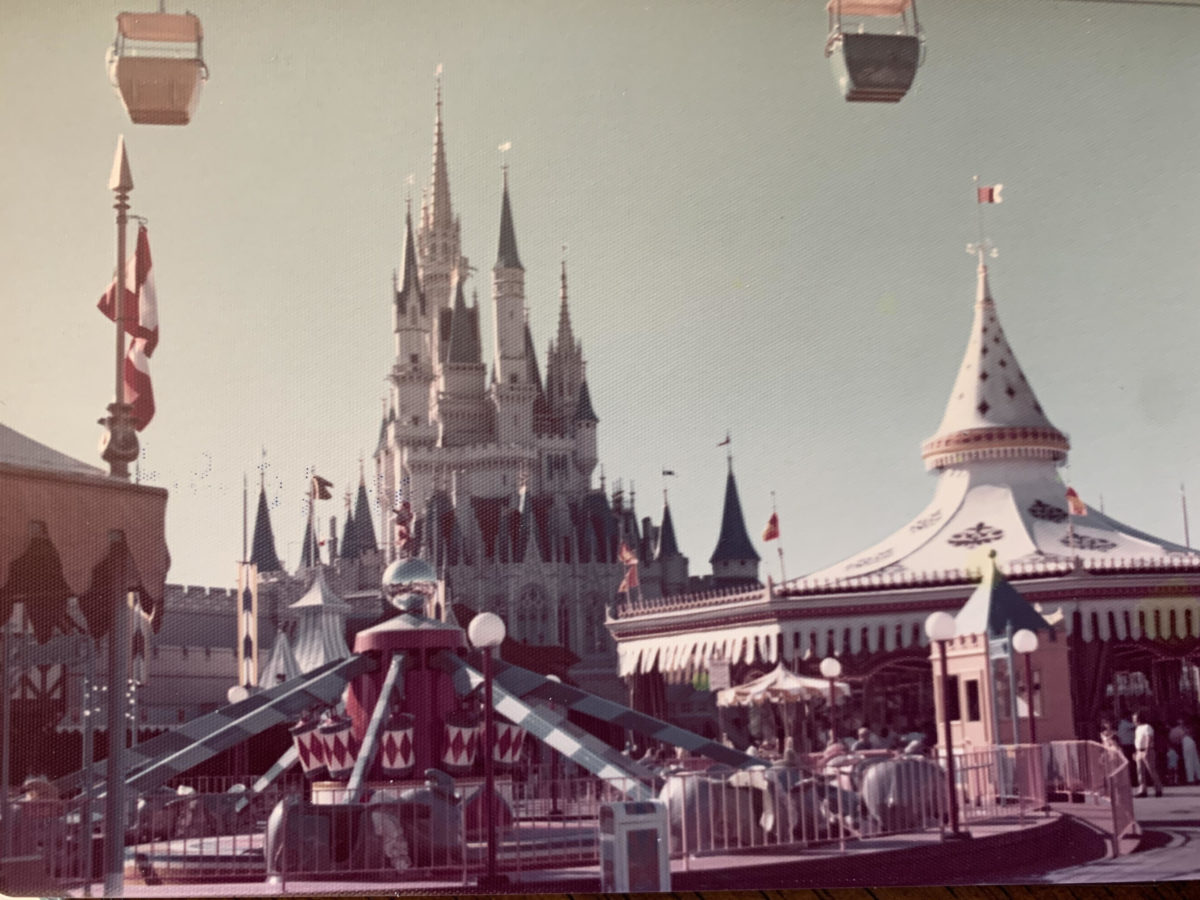 Celebrating 50 years of magical memories - Travel With The Magic ...