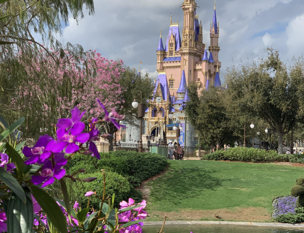 New Disney story rooms at Disney World - Travel With The Magic | Travel ...